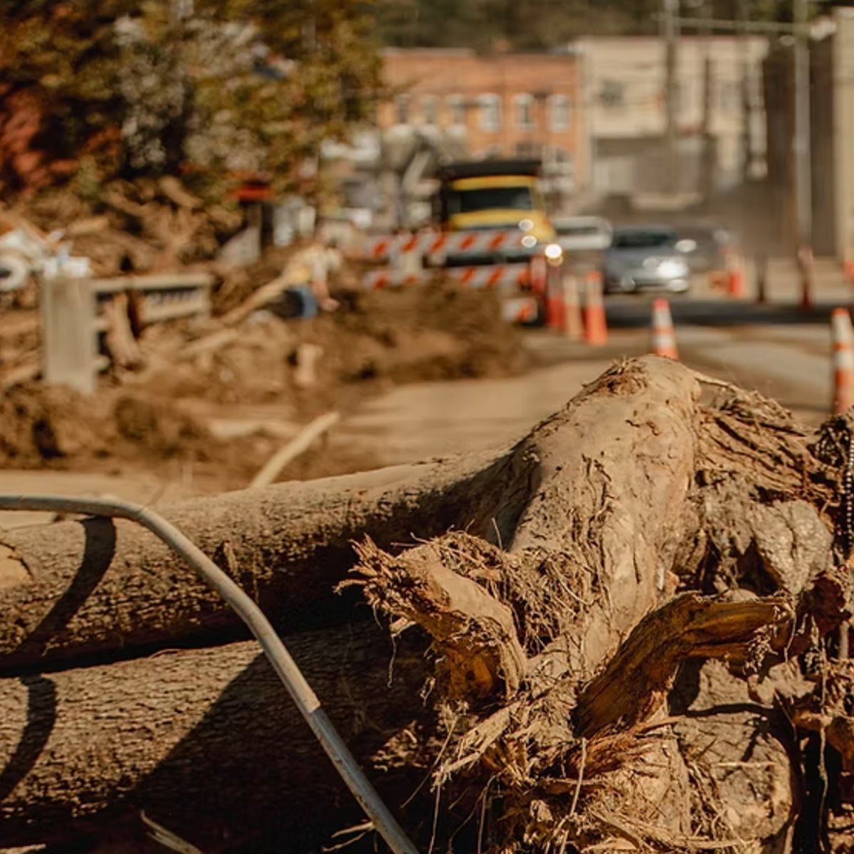 Rebuilding Together: How Our Community is Overcoming Hurricane Helene's ...